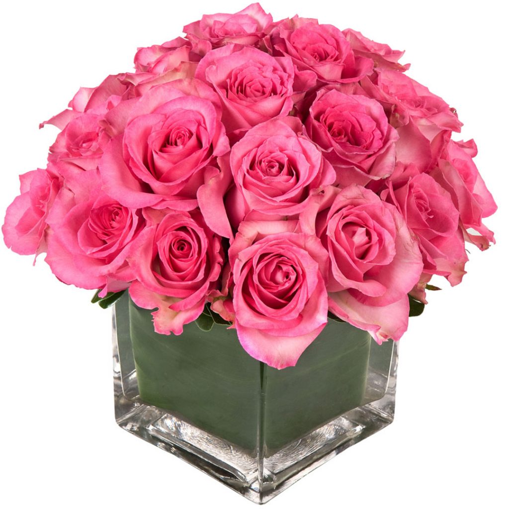 Fuchsia Roses - Fleurs de la Sagesse