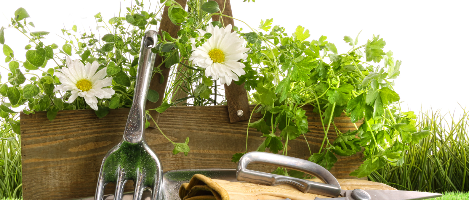 Fleurs De La Sagesse | Order Your Flowers Online In Lebanon