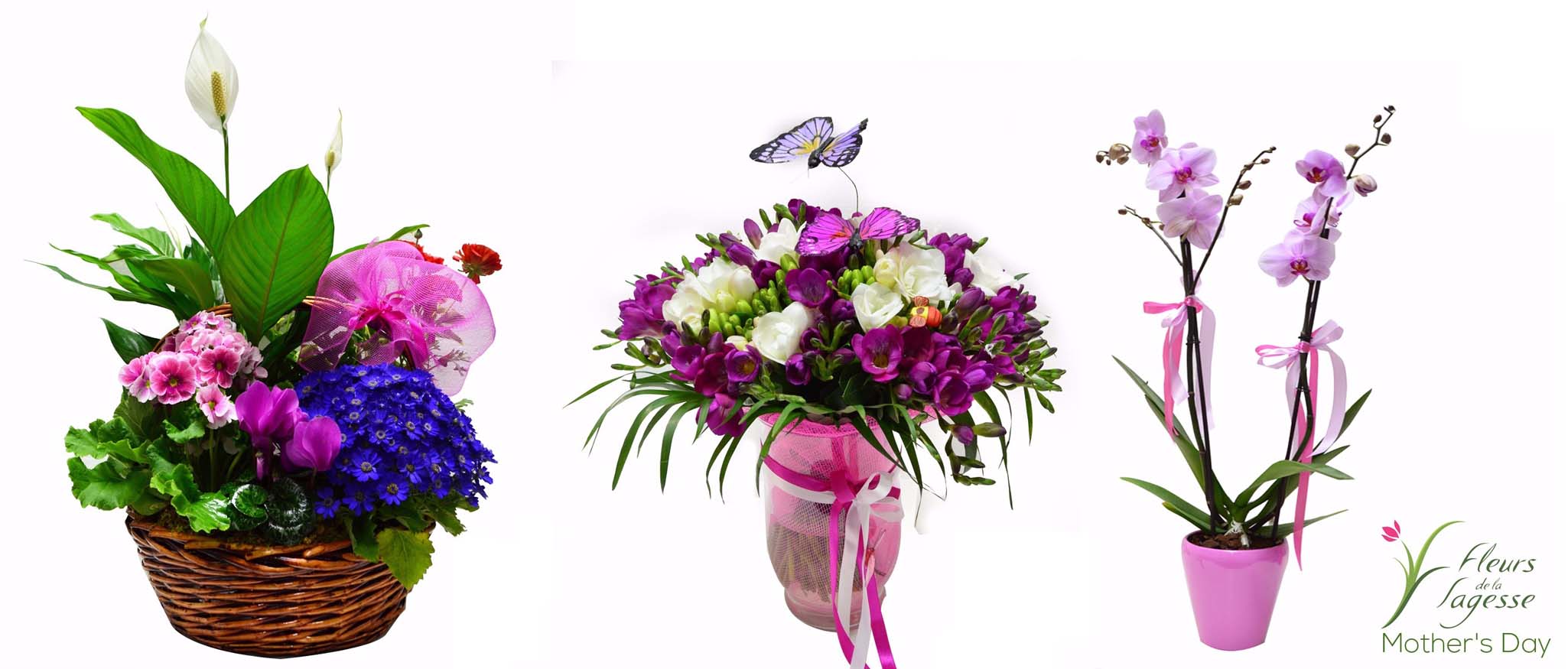 Fleurs De La Sagesse | Order Your Flowers Online In Lebanon