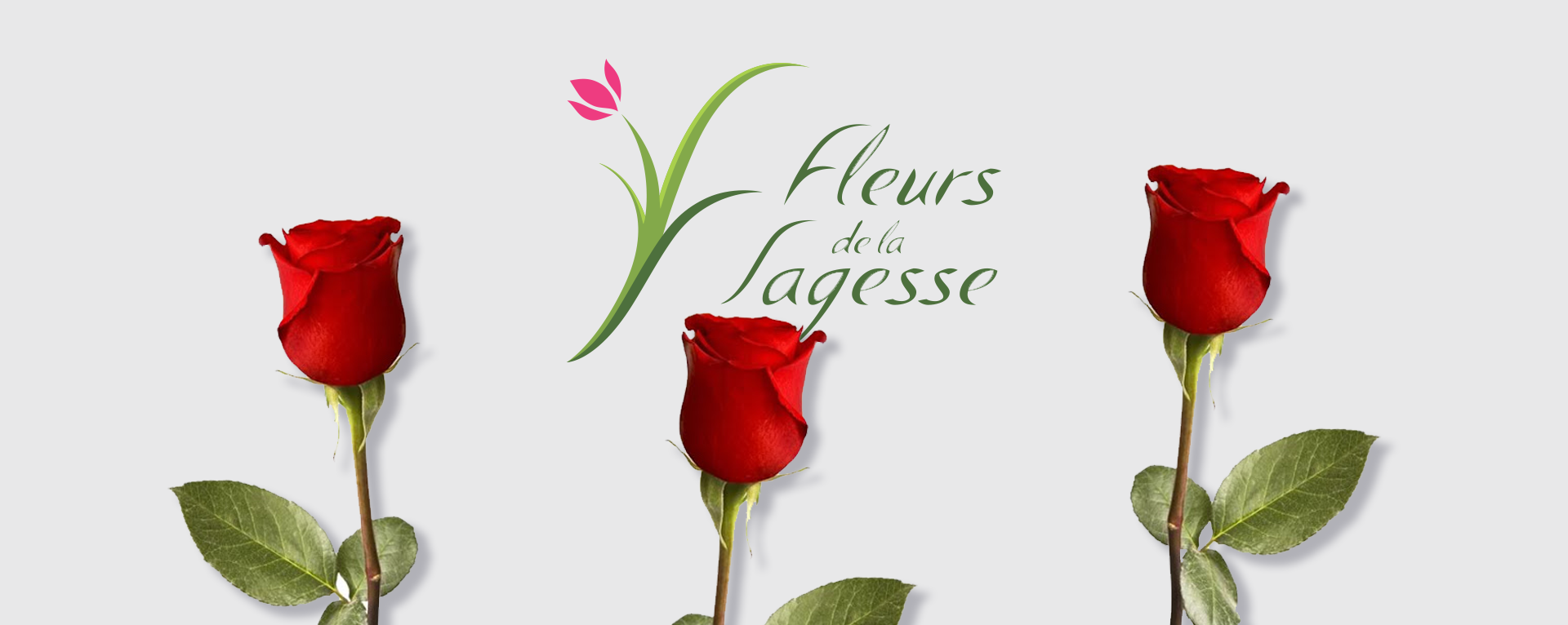 Fleurs De La Sagesse | Order Your Flowers Online In Lebanon
