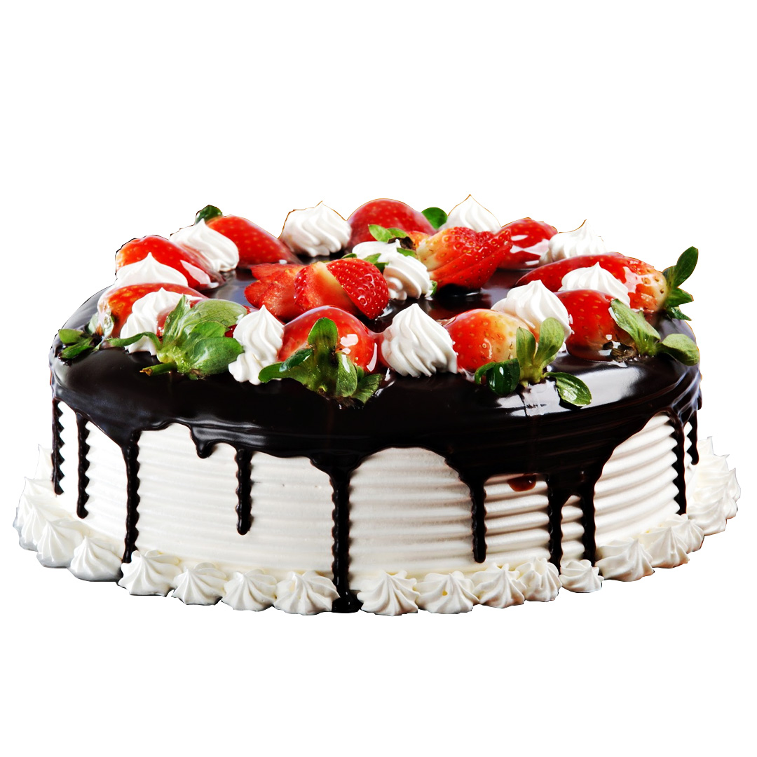 Indoor Plant Lebanon Ficus Lyrata - Fleurs de la sagesse | Beirut Lebanon