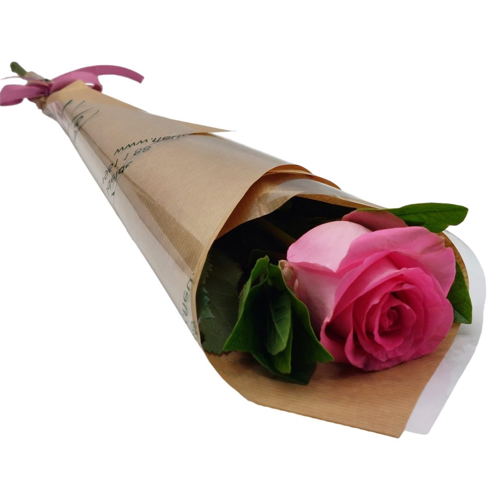 Single Colored Rose - Fleurs de la sagesse | Beirut Lebanon