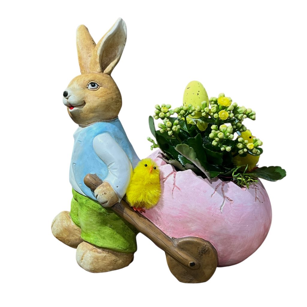 Flora Express - Fleurs de la Sagesse