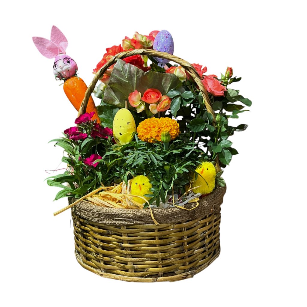 Easter delight - Fleurs de la Sagesse